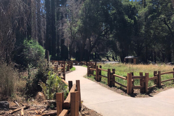 Big Basin Returns - Sempervirens Fund