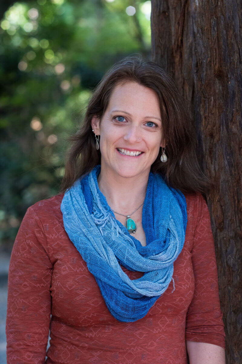 Under The Redwoods - Sempervirens Fund