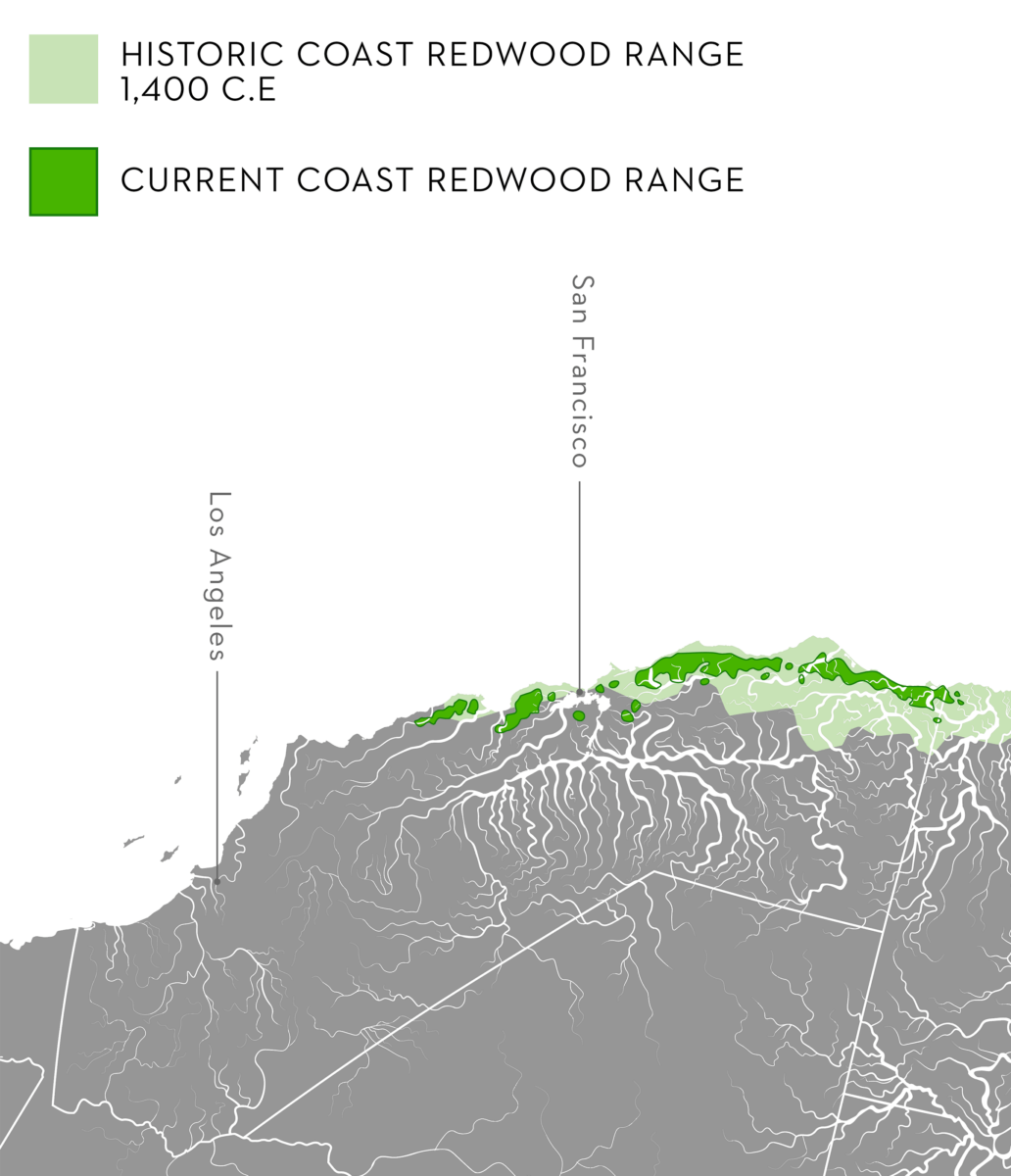 Redwoods and Climate Part 4 - Sempervirens Fund