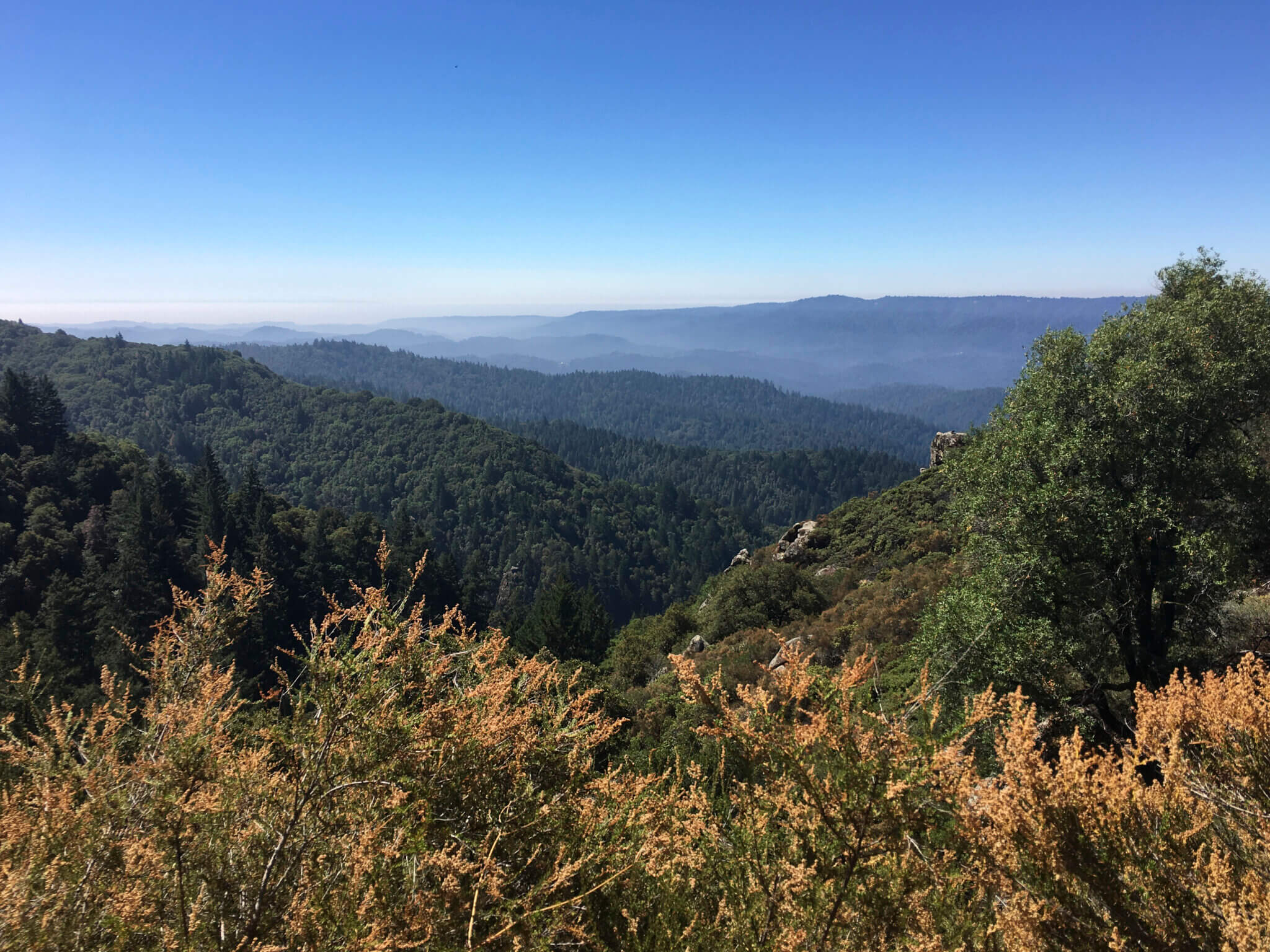 NEWS: California State Parks Purchases Six Properties from Sempervirens ...