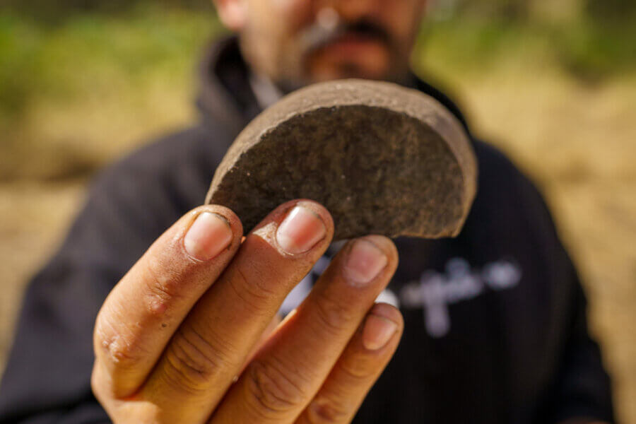 Indigenous Stewardship at San Vicente Redwoods: Past, Present, and ...