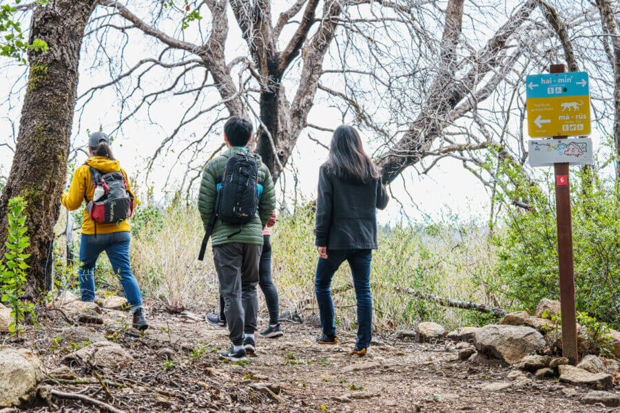 Fungi of the Forest: Meet the Mushrooms of San Vicente Redwoods ...