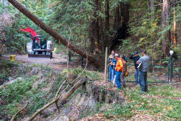 A Stewardship Story: Return to Nature - Sempervirens Fund